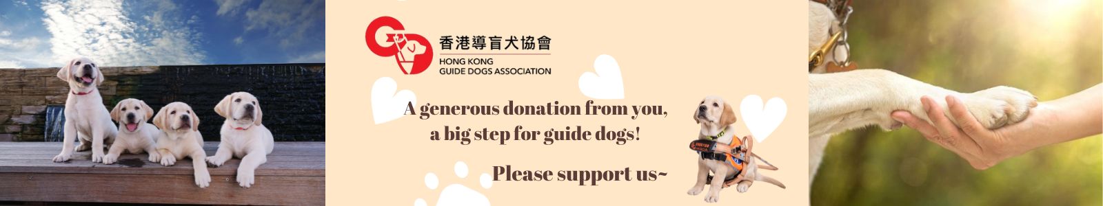 Other Donation Methods